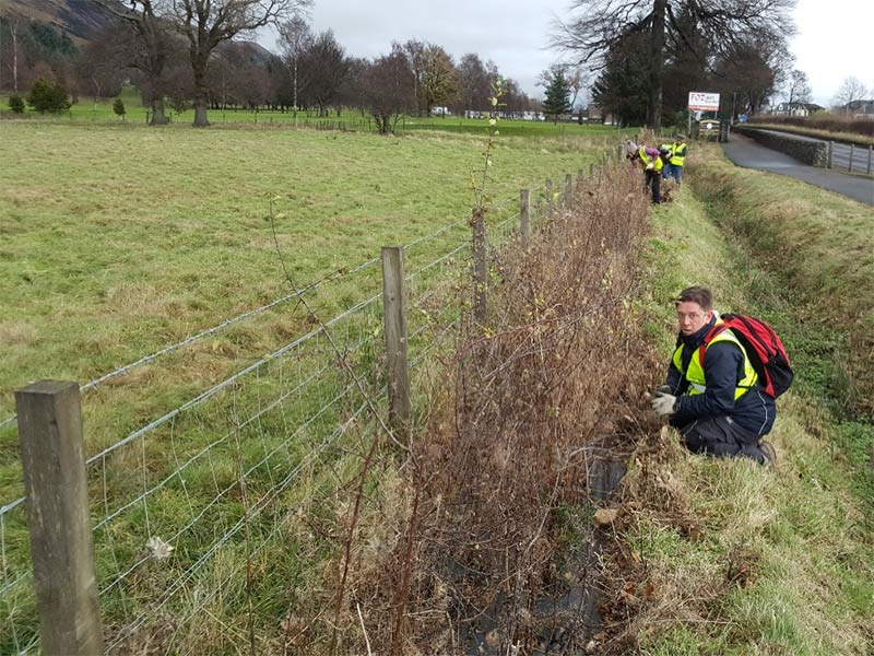 Hedge Weeding – Devon Meadow - EPIC Ochils